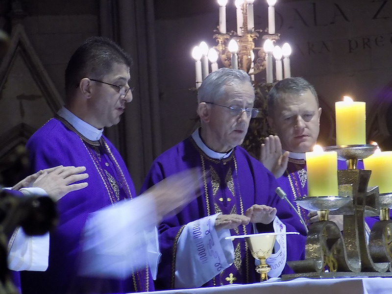 Slaviti Papin dan znači slijediti Papu u ljubavi – Papin dan 2020 ...